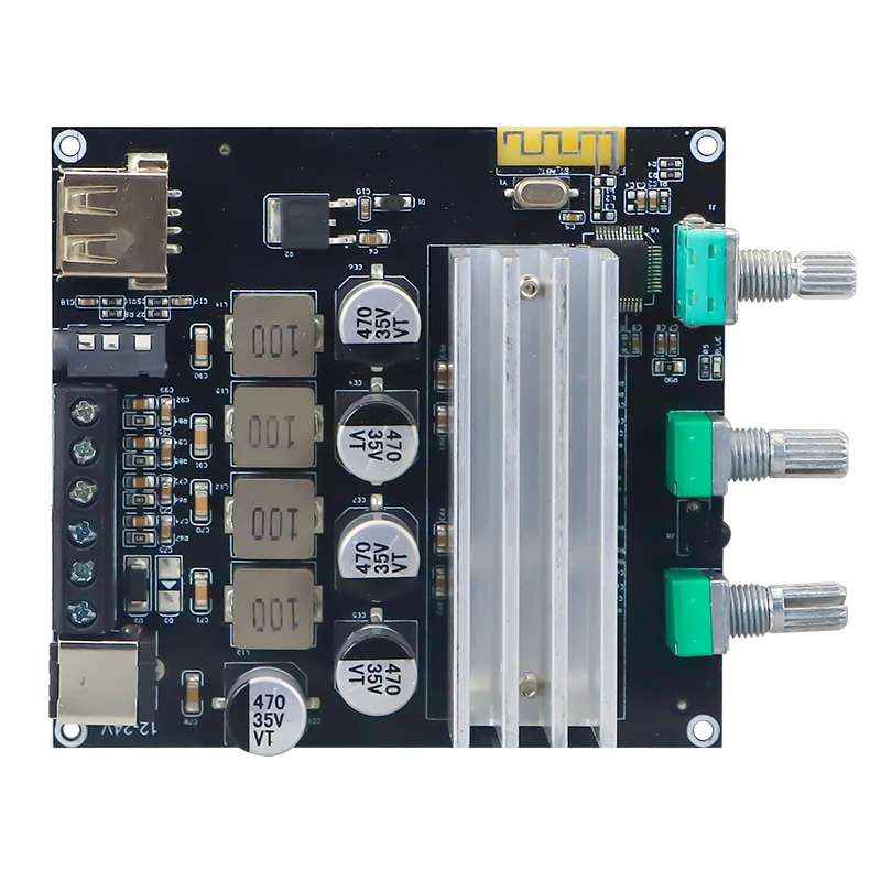 Dual Channel Mini 100W+100W Class D Digital Power AMP Module