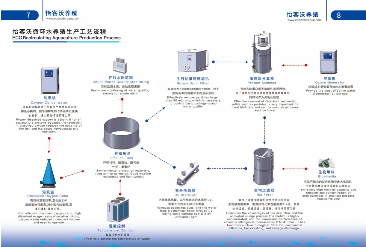 Eco Ras Shrimp Farming,Aquaculture Ras Systems,Recirculating ...