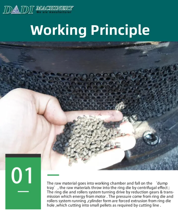 Harbin Dadi Organic Fertilizer Granule Production Equipments Duck Waste ...