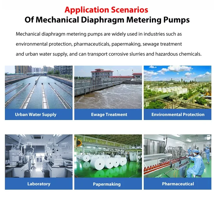 Efficient Chemical Dosing with Mechanical Diaphragm Pumps