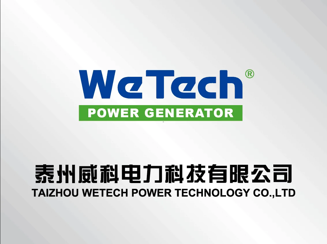 Company Overview - Taizhou Wetech Power Technology Co., Ltd.
