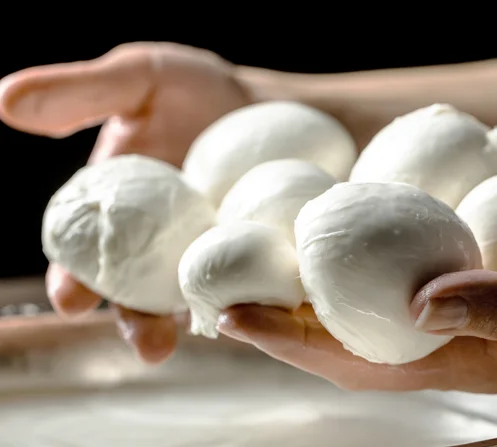 Mozzarella Cheese Cooker Stretcher - High Efficiency Machine