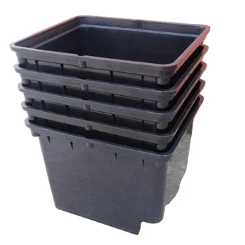 Cost Effective Hydroponic Dutch Bucket Indoor Plant Growing System Bato ...