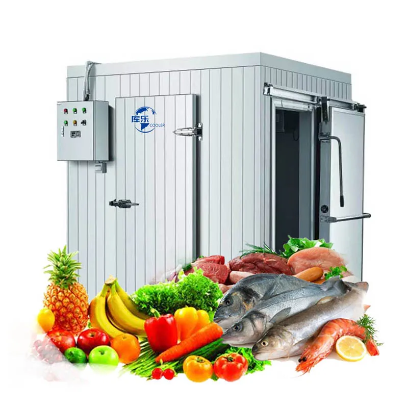 20ft Container Best-selling Prefab Industrial Blast Freezer Room ...