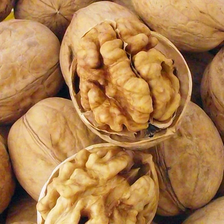 High Quality Premium Walnuts - Perfect for Snacking & Baking