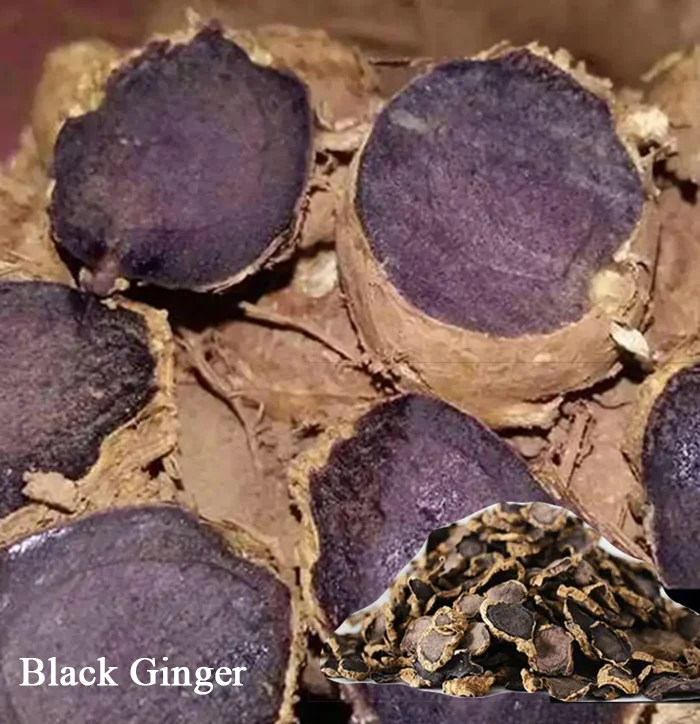 Top Quality Black Ginger Powder Natural 10:1 Thai Black Ginger Extract ...