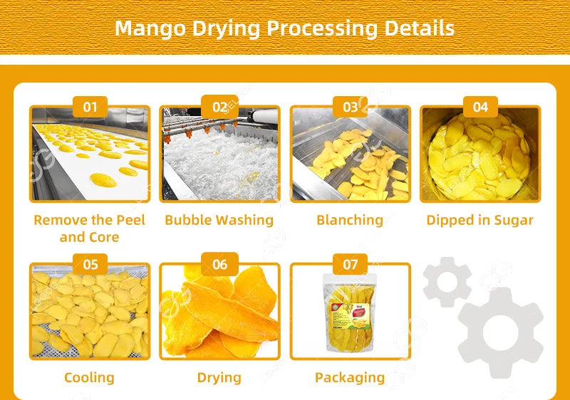 Commercial Automatic Washing Dried Mango Slice Packing Processing Mangoes Fruit Drying Machine ...