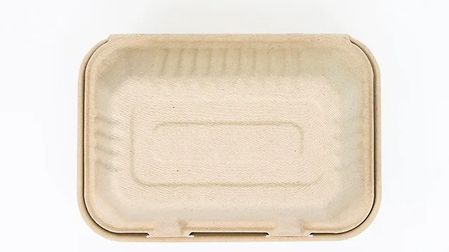 Natural Sugarcane Bagasse Food Lunch Box 9"x6" Clamshell Container ...