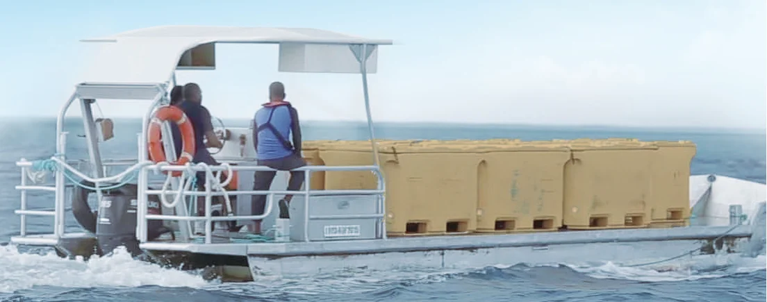 Stackable Rotational Molded Fish Transport Container Fish Cooler Box Pe ...