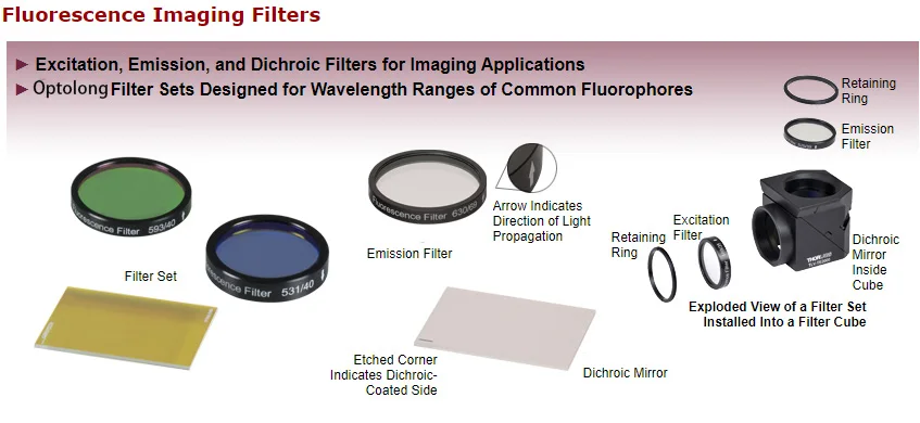 Optolong Fluorescence Filters Cube U-MF2 for Olympus Microscopes