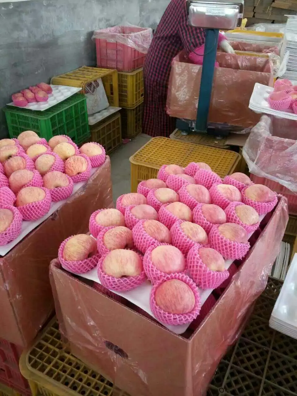 The Best 2022 New Fresh Apple With Fresh Apples From Apple Gardens For ...