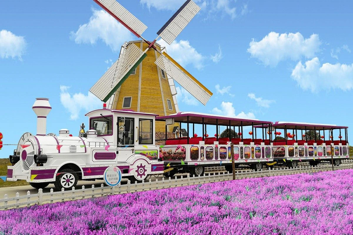 Customized Tourist Sightseeing Car Vehicles Electric Ride On Mini ...