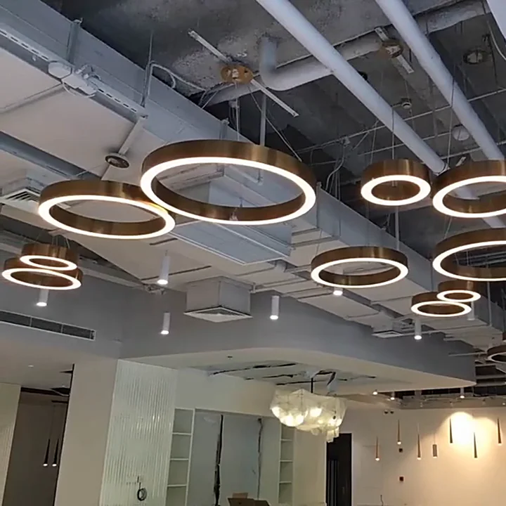 Modern Curve Linear Light Circular Oval Ceiling Led Ring Pendant Light ...