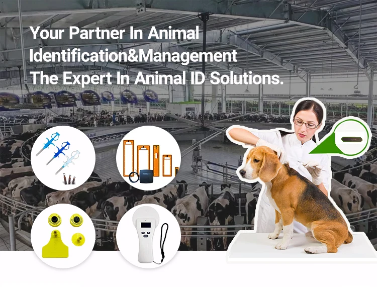NLIS NAIT Ear Tag 134.2khz FDX-B,HDX,FDXA Rfid Microchip Reader ISO ...