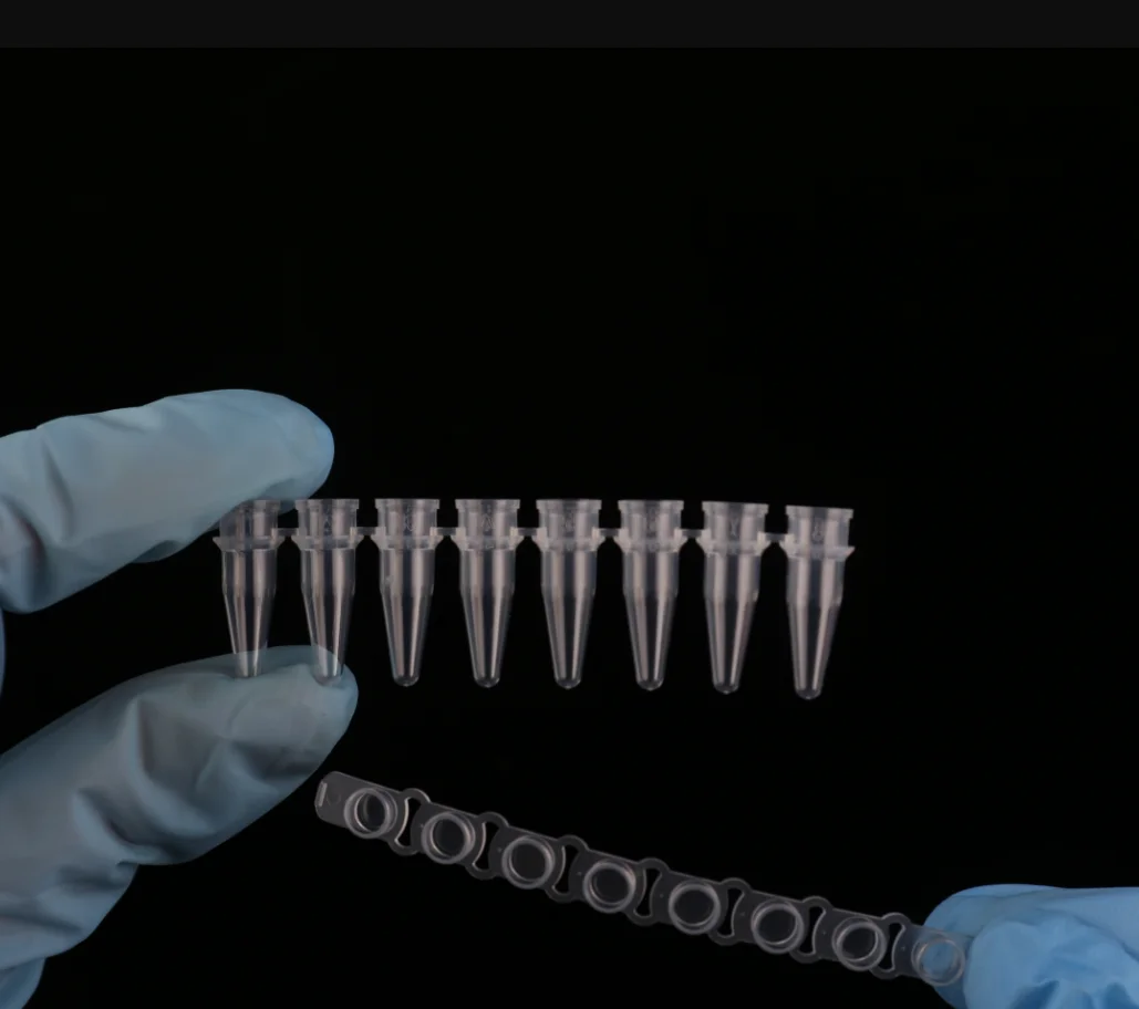 Farmasino 0.2ml Laboratory Use Pcr Microcentrifuge Plastic Pipe Tube ...