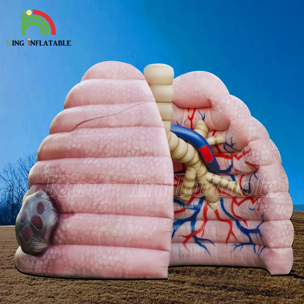 Giant Inflatable Anatomical Lungs Model Medical Inflatables Exhibits ...