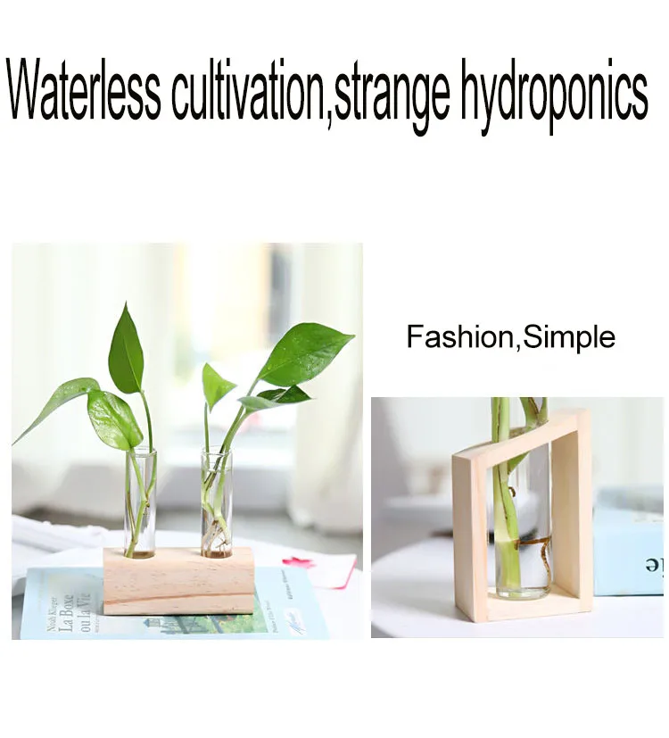 New Style Tube Planter With Wooden Stand Glass Planter Hydroponic ...