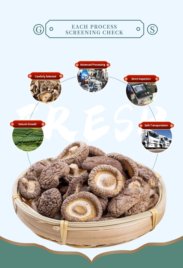 Wholesale Dried Mushroom Dried Enoki For Sale - Buy Enoki Mushroom ...