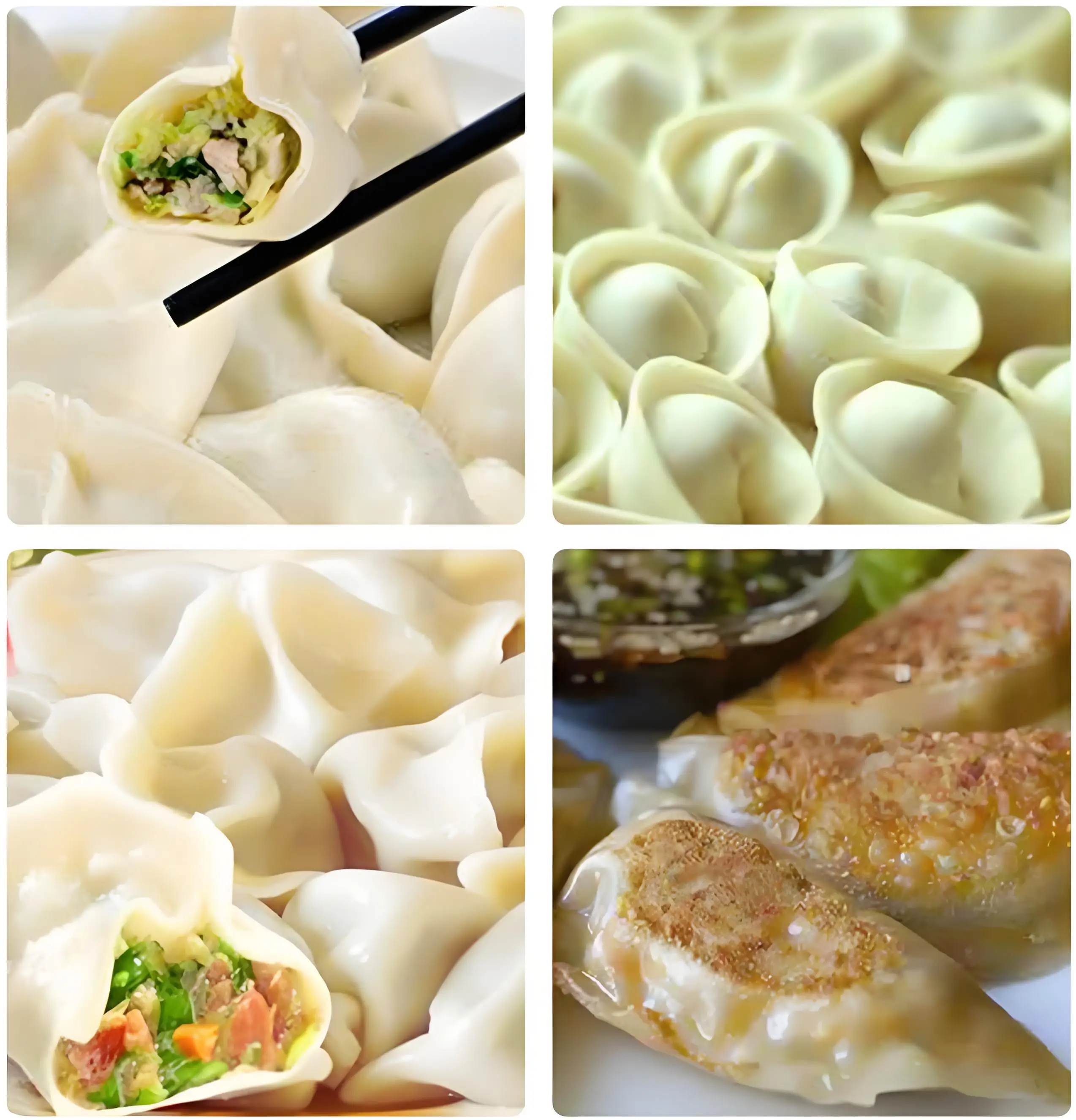 VBJX Commercial Professional Fully Automatic Speedy Dumpling Maker ...