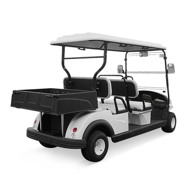 2024 Newly Released Electric Cargo Truck Strong Power Electric Baggage ...