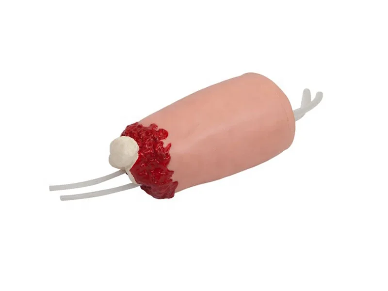 Lower Limb Bleeding Teaching Model - Thigh Hemorrhage Simulation