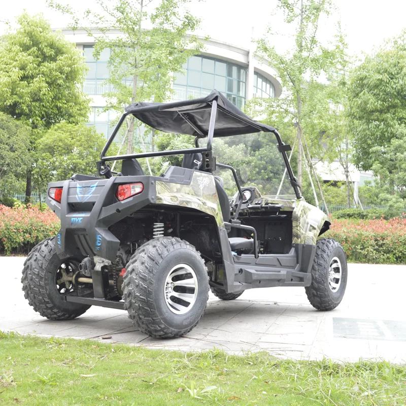 300cc Automatic Gasoline Side-by-Side UTV with Chain Drive Transmission ...