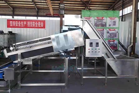 Stainless Steel Shrimp Peeling Machine - Efficient & Durable