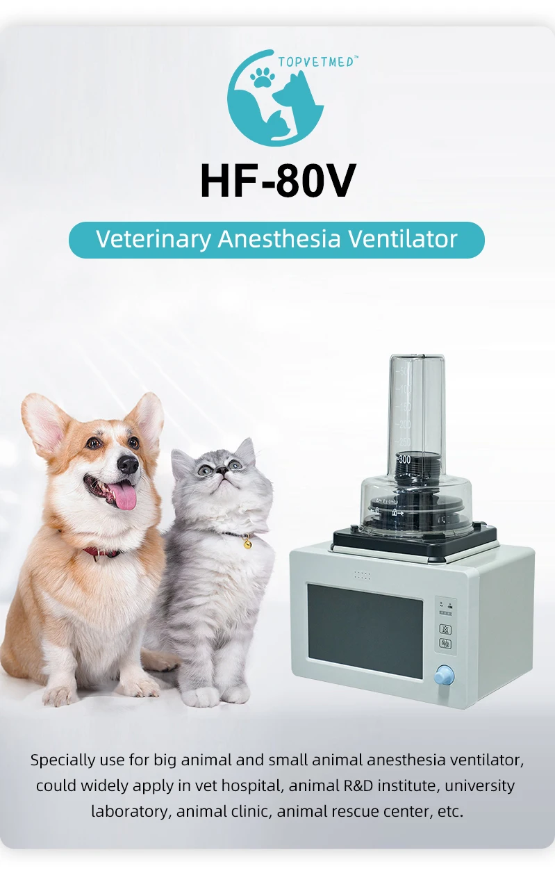 Veterinary Anesthesia Machine Portable Veterinary Anesthesia Machine ...