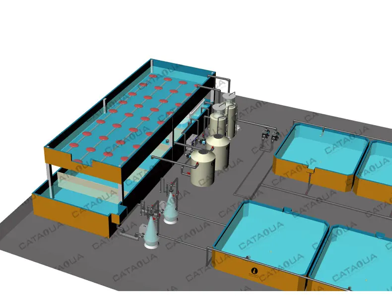 Professional Recirculating Aquaculture System Indoor Tilapia Fish ...