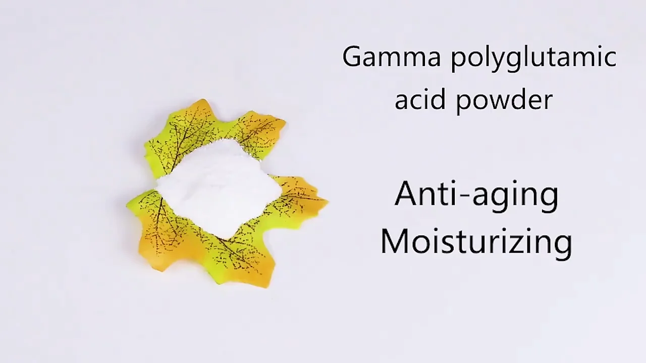 Skin Care Raw Material Moisturizing Pga Polyglutamic Acid Powder Cas No ...