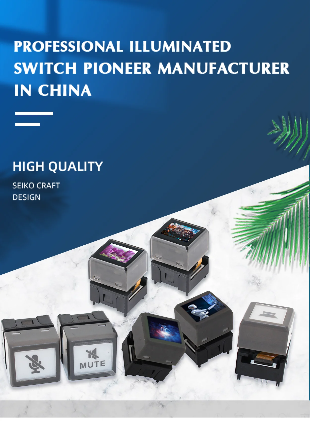 Lakeview Rgb Backlight Spi Led Lcd Oled Display Screen Momentary ...