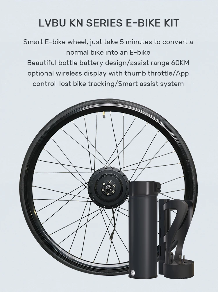 Cheapest E Bike Kit - 36V 350W Front Wheel Bldc Hub Motor