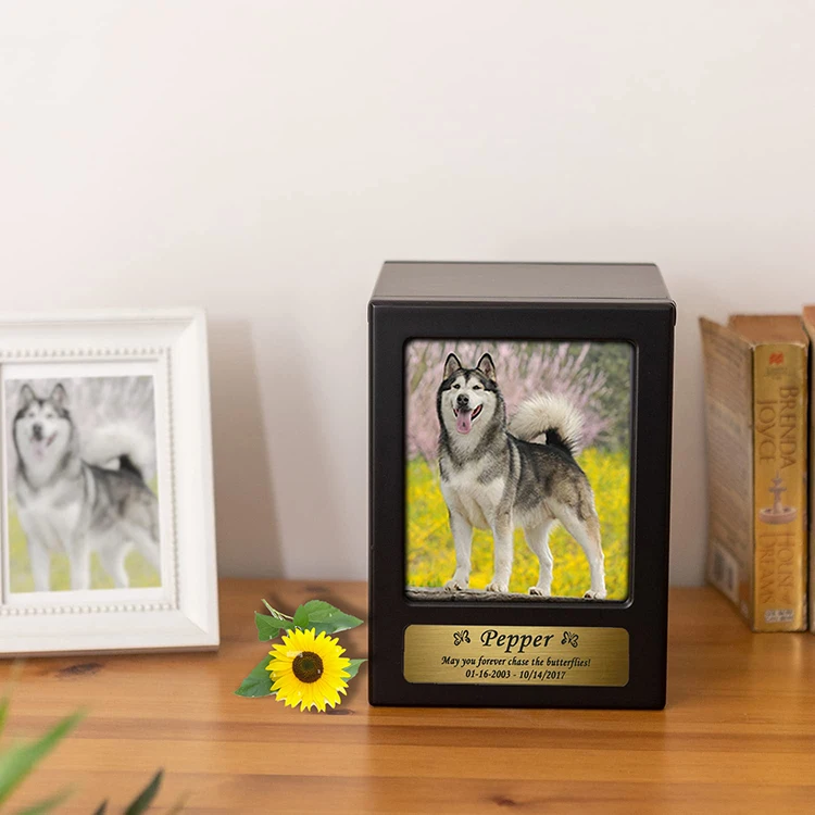 Wood Memorial Coffin Caskets Box Frame Funeral Wooden Box Pet Urn For ...