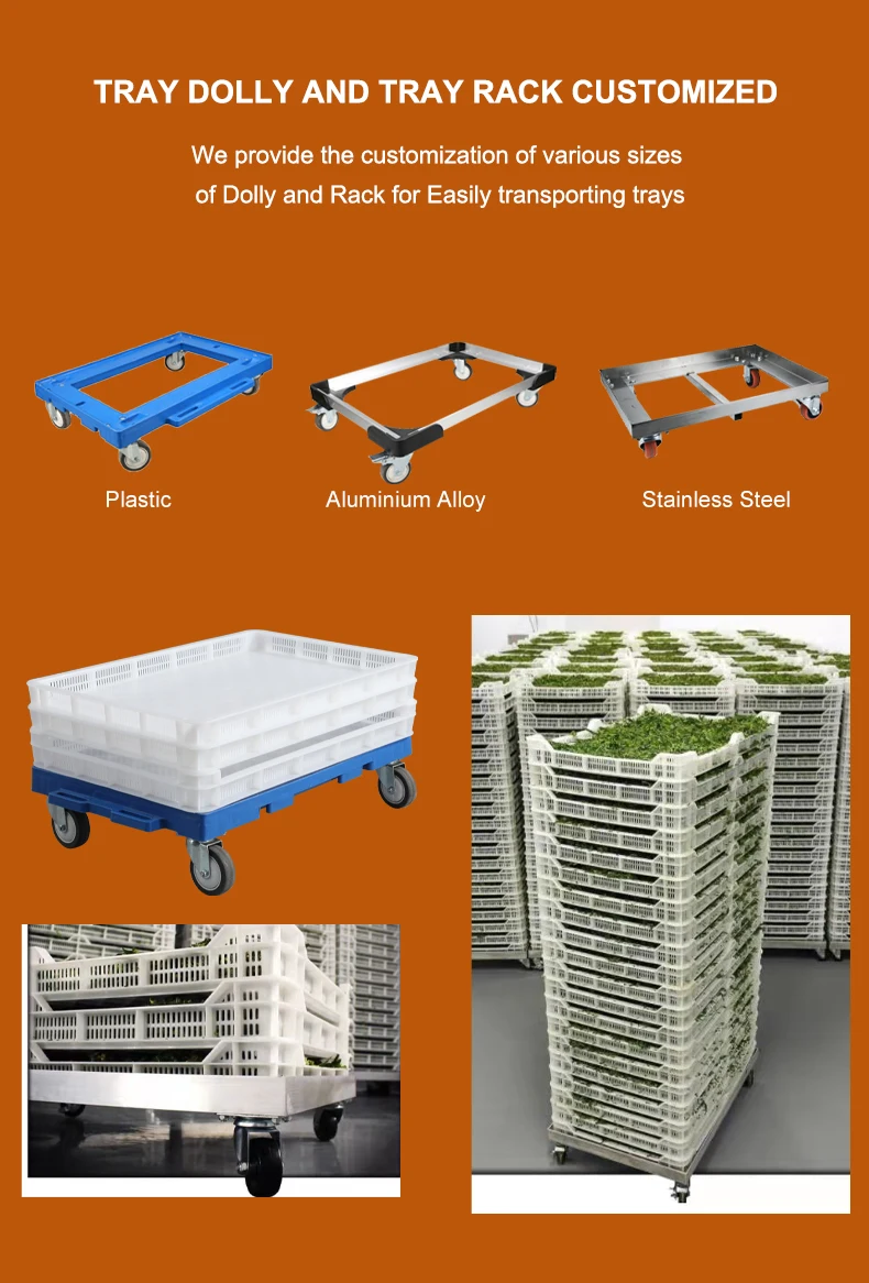 Newly Developed Mesh Design Stackable Gummy / Chocolates Plastic Drying ...