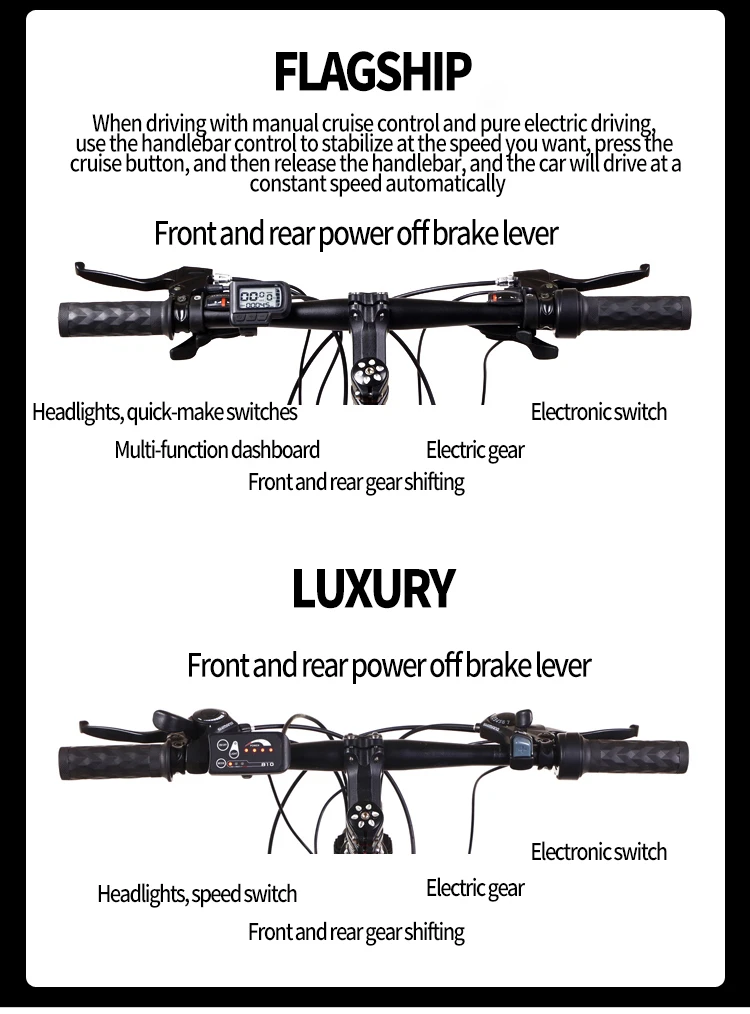 FRIKE Electric Bike - High-Quality 36V8A250W E-Mountain Bike