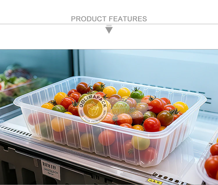OOLIMA Hot Sales Disposable PP lunch box EVOH for ready to eat Modern ...