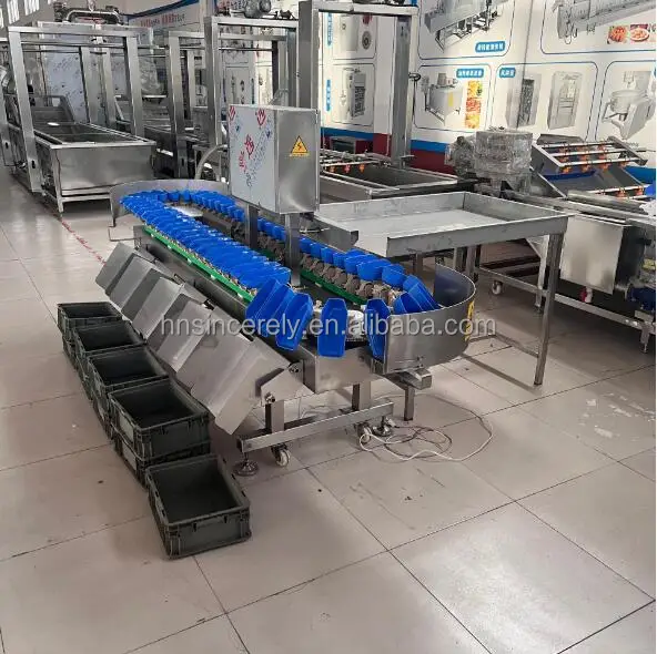 Automatic Potato Weight Grading Sorting Machine Sweet Fruit Seafood Shrimp Weight Sorter And ...
