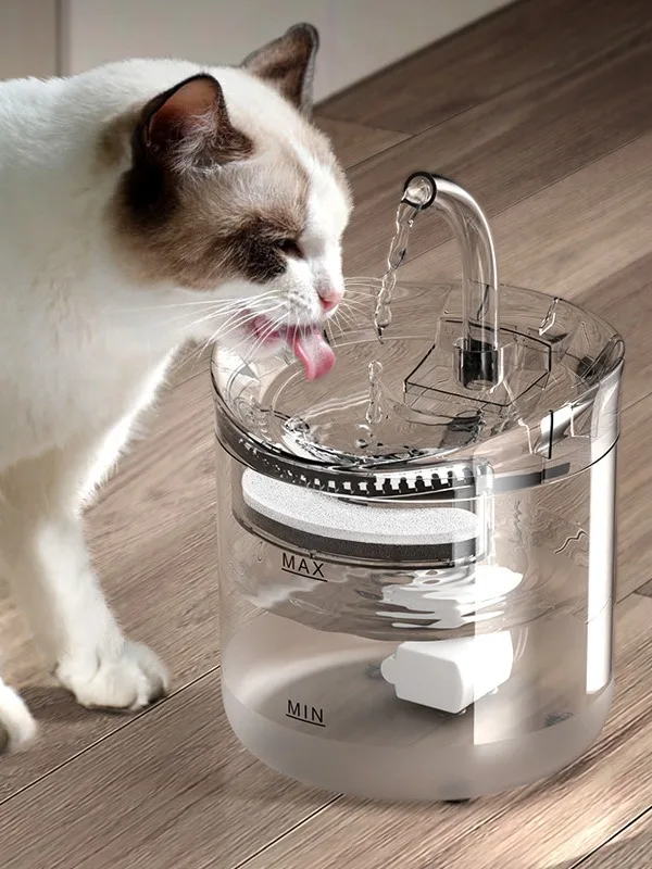 Transparent Pet Water Dispenser Automatic Circulation Filter Flowing ...