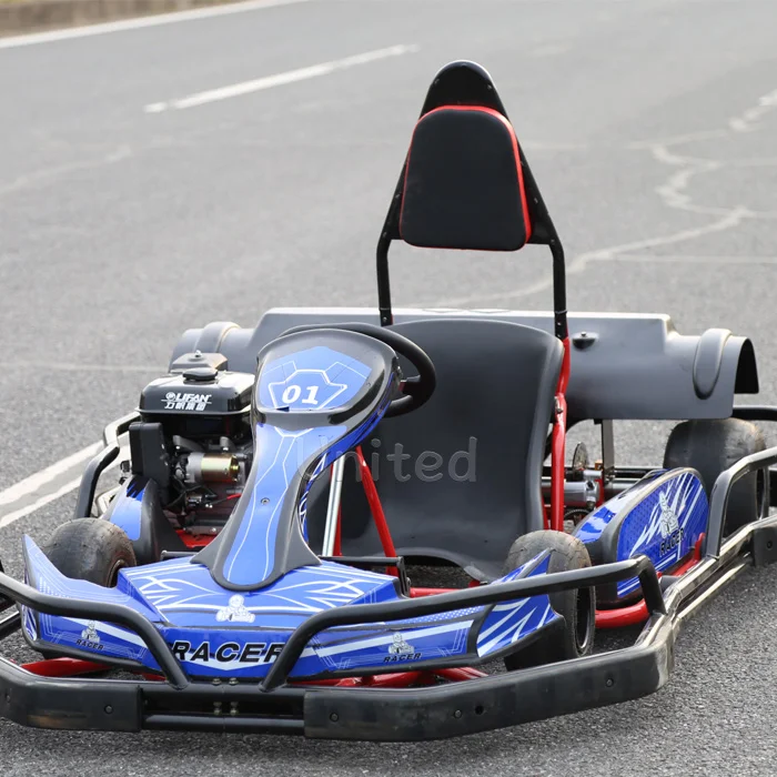Cheap Playground Games Gasoline Drift Buggy Racing Go Kart Car for Sale ...