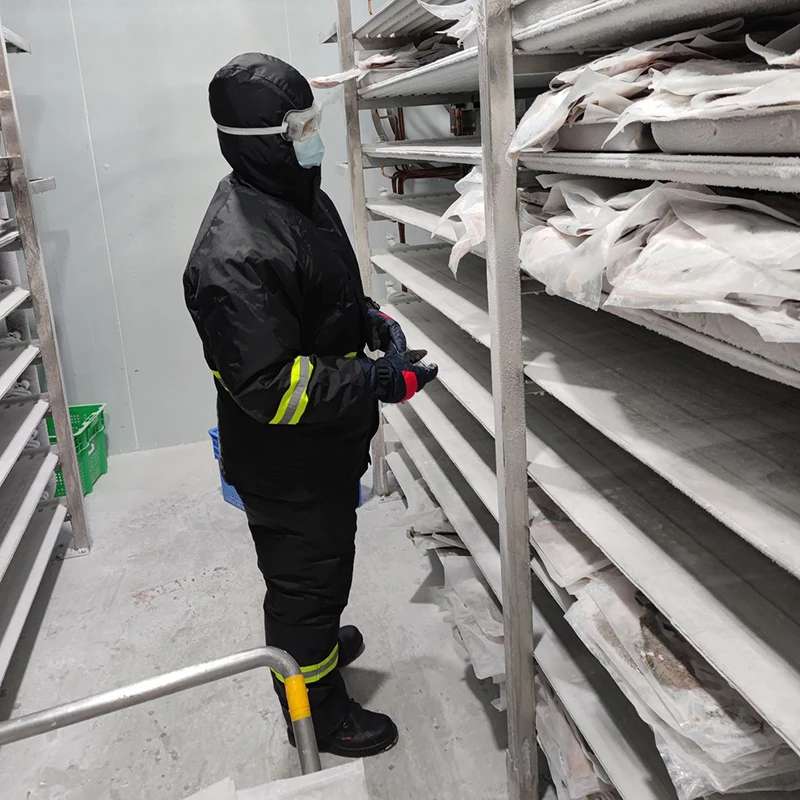 Custom Low Temperature Clothing - Cold Storage Solutions