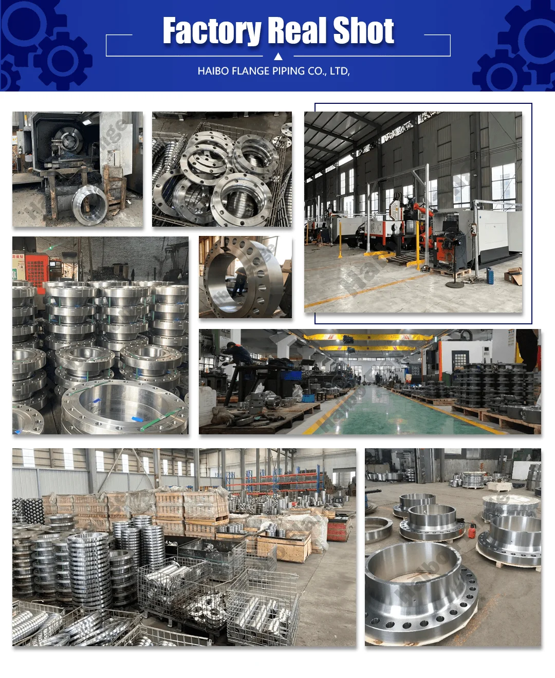 ASME B16.5 SAE J518/ISO 6162 Stainless Steel SS316 Hydraulic Counter ...
