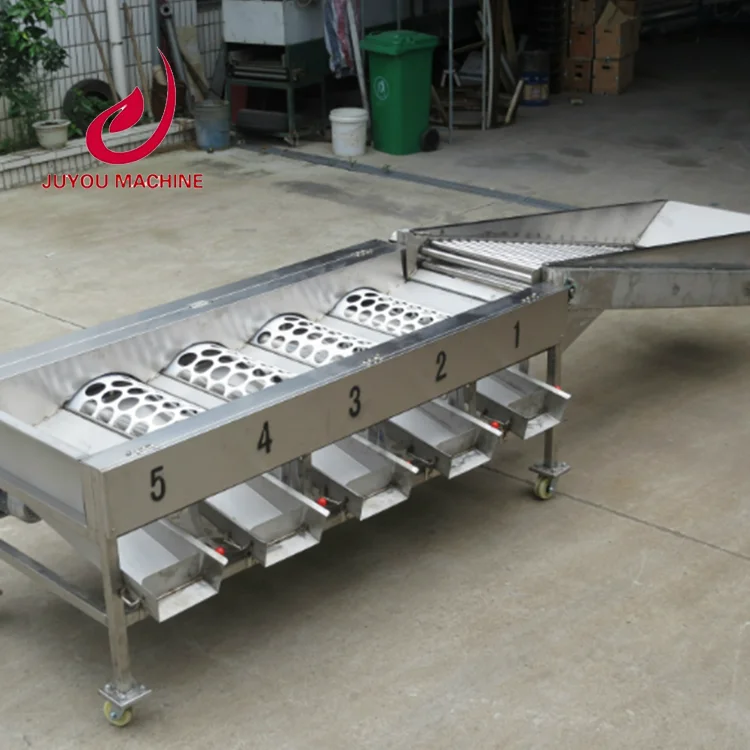 High Efficiency Fruit Sorter - Orange Lemon Chufa Potato Tomato Grading ...