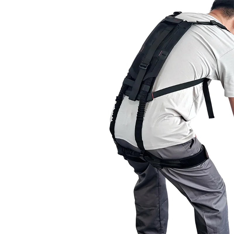 Wearable Waist and Abdominal Exoskeleton Robot Exoskeleton