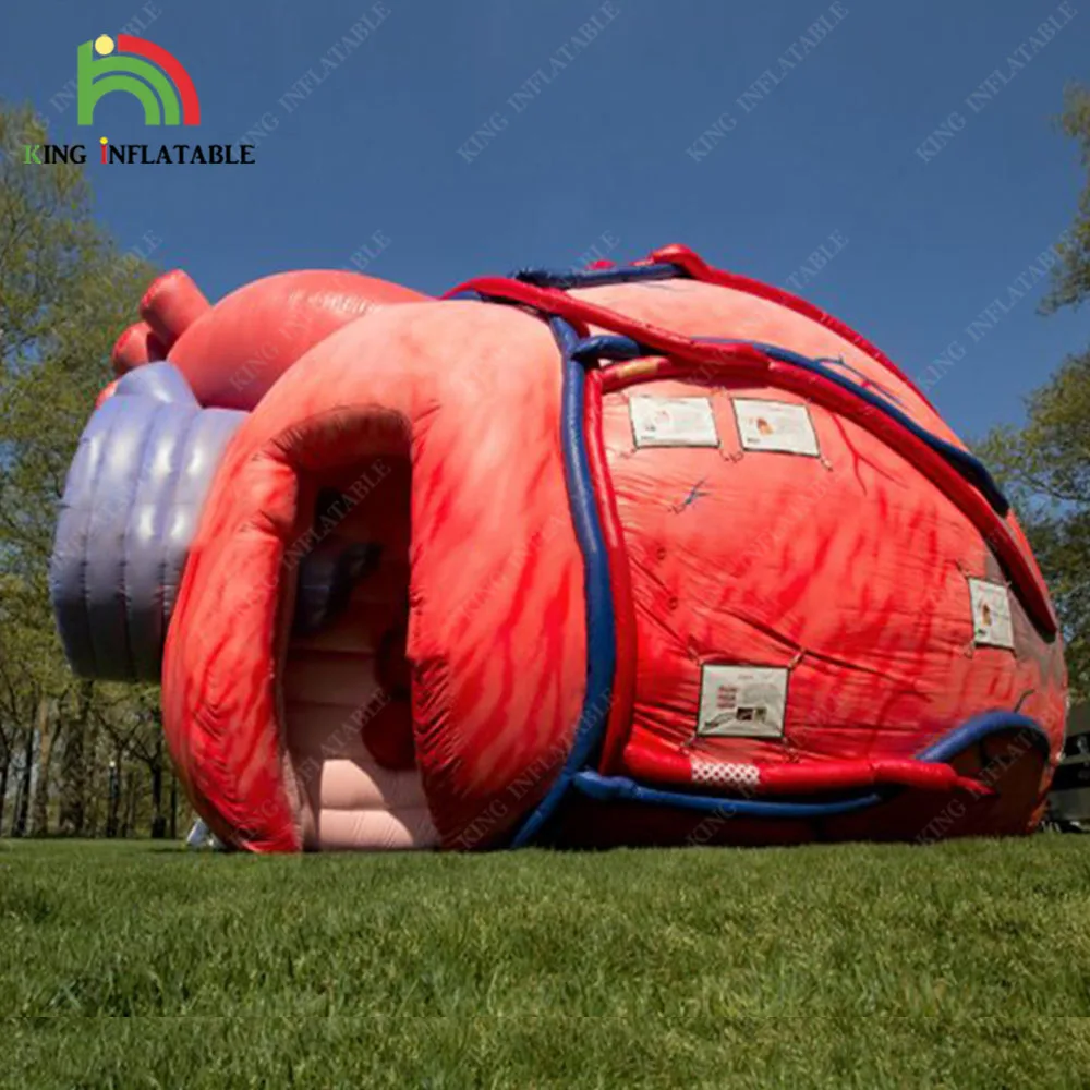 Inflatable Heart Tent - Educational Model for Medical Events