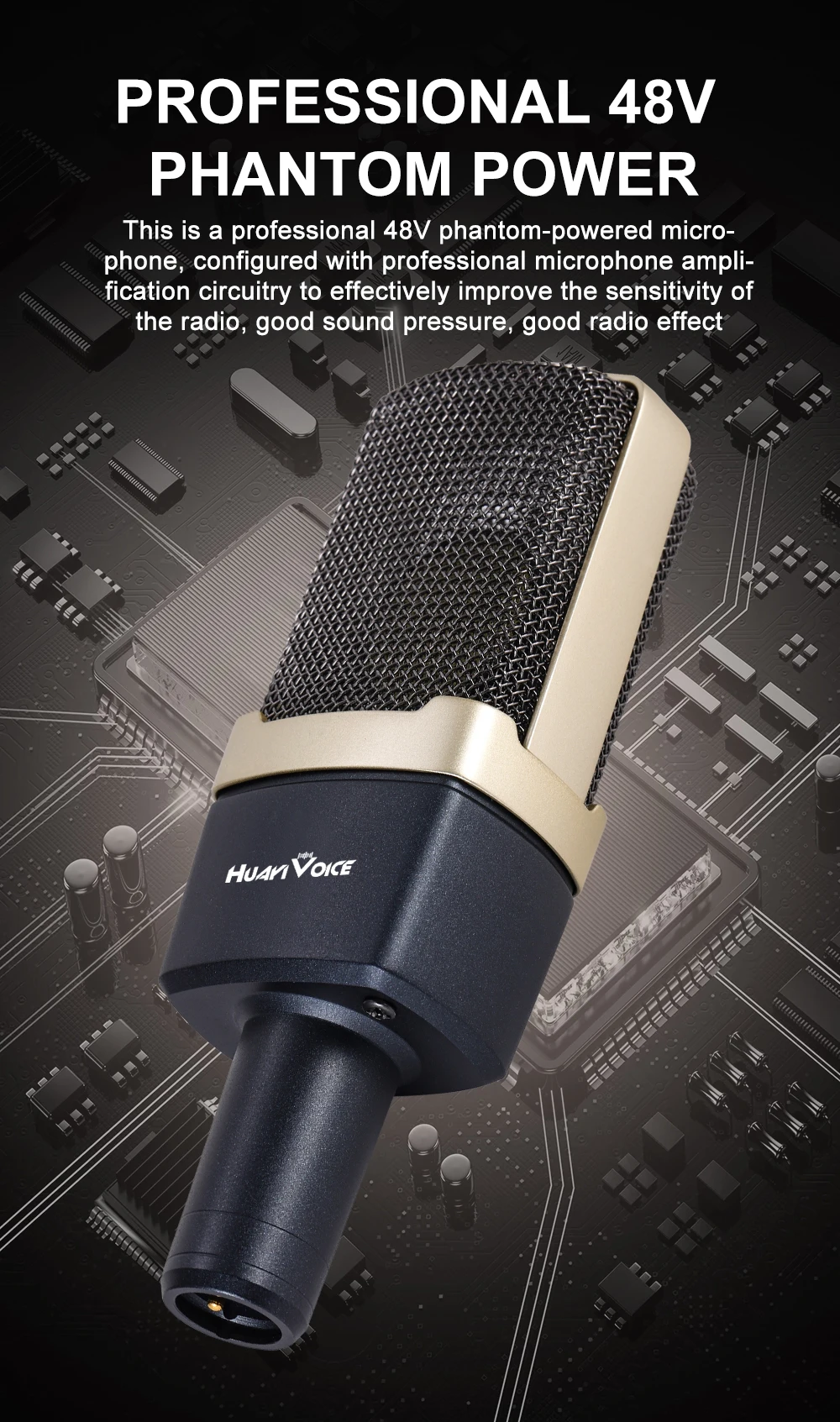 A2 Professional Wired Condenser Microphone Studio Singing Microphone ...