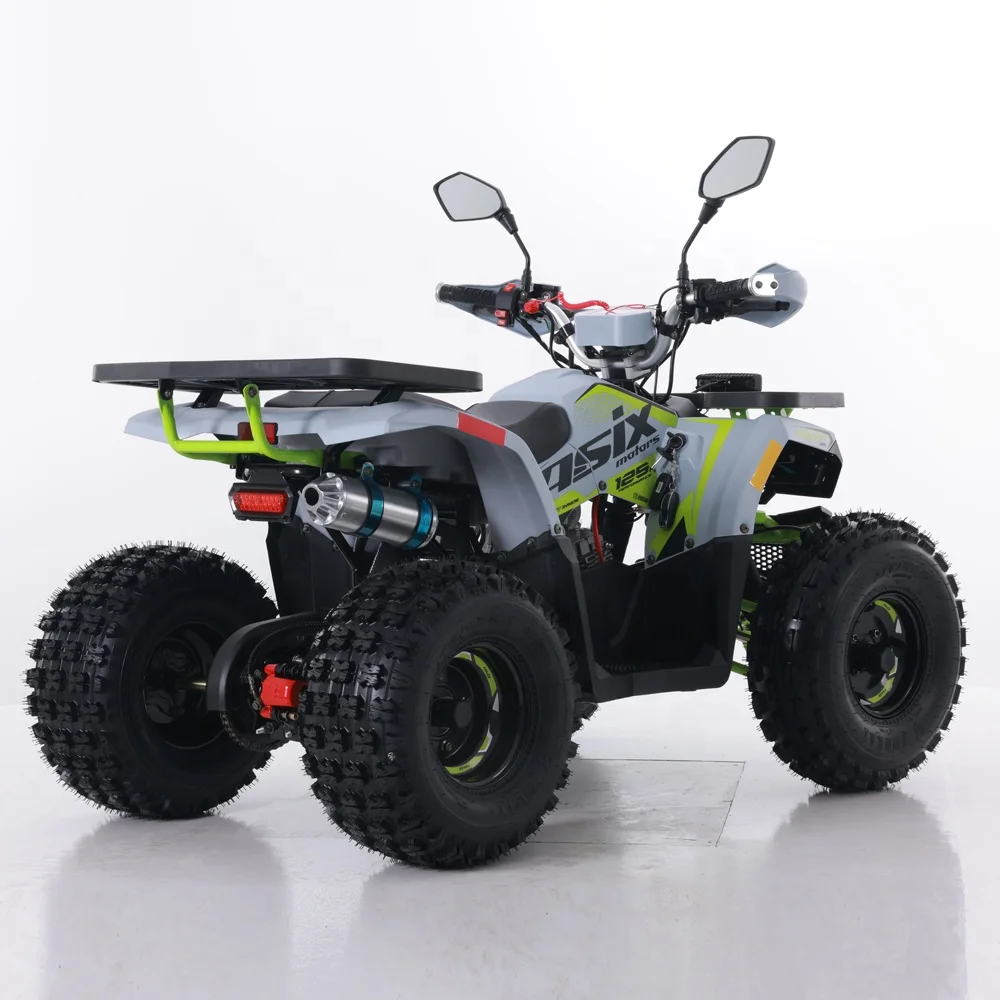 Tao Motor 2024 New Atv 125 Cheap Chinese Automatic Chain Drive Farm Atv ...