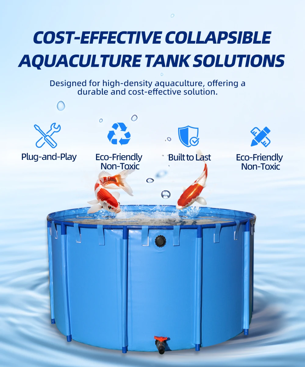 Wholesale PVC Fish Tanks - Durable & Eco-Friendly Solutions