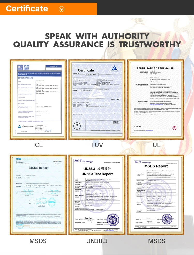 Customized Prismatic LFP Battery Cells - 1P4S to 2P8S
