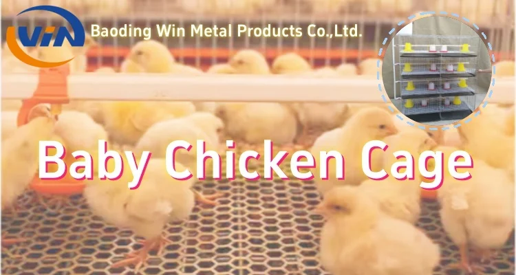 H Type Baby Chicken Brooder Cages Hot Galvanized Battery Animal Poultry ...