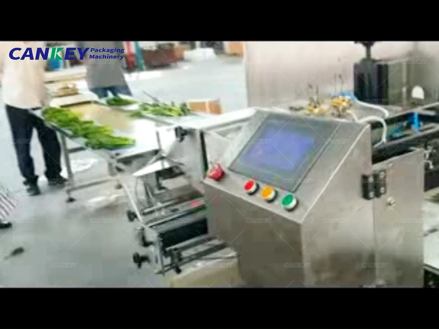 Automatic Cucumber Potato Wrapping Dried Mushroom Container Packing ...